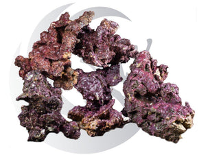 Saltwater Live Rocks | Order Real Reef Saltwater Aquarium Live Rocks ...