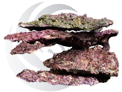 Saltwater Live Rocks | Order Real Reef Saltwater Aquarium Live Rocks ...